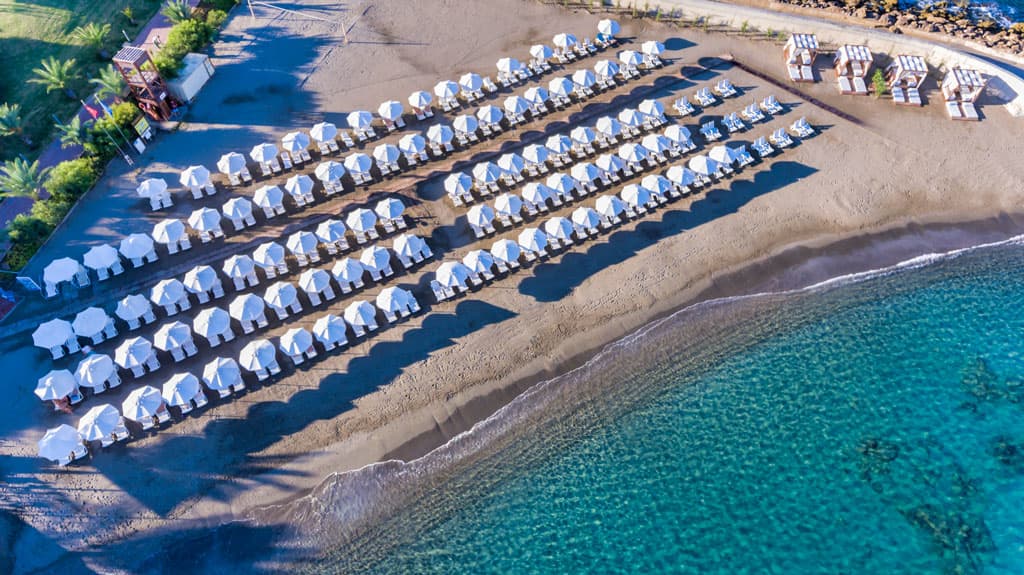 Gold Island Selected | CK Alexandria