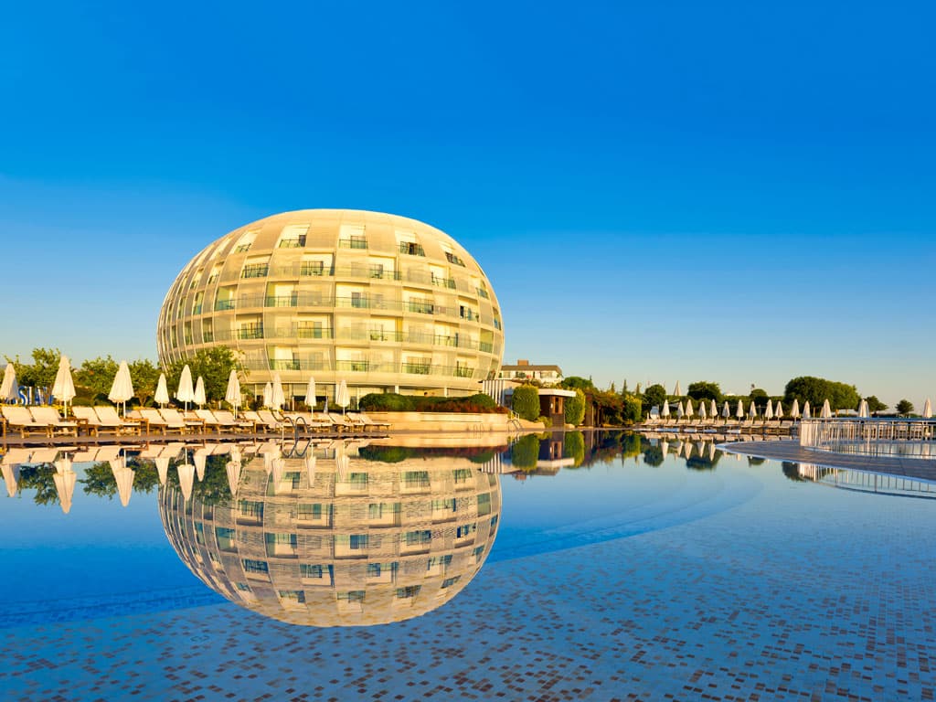 Gold Island Selected | CK Alexandria